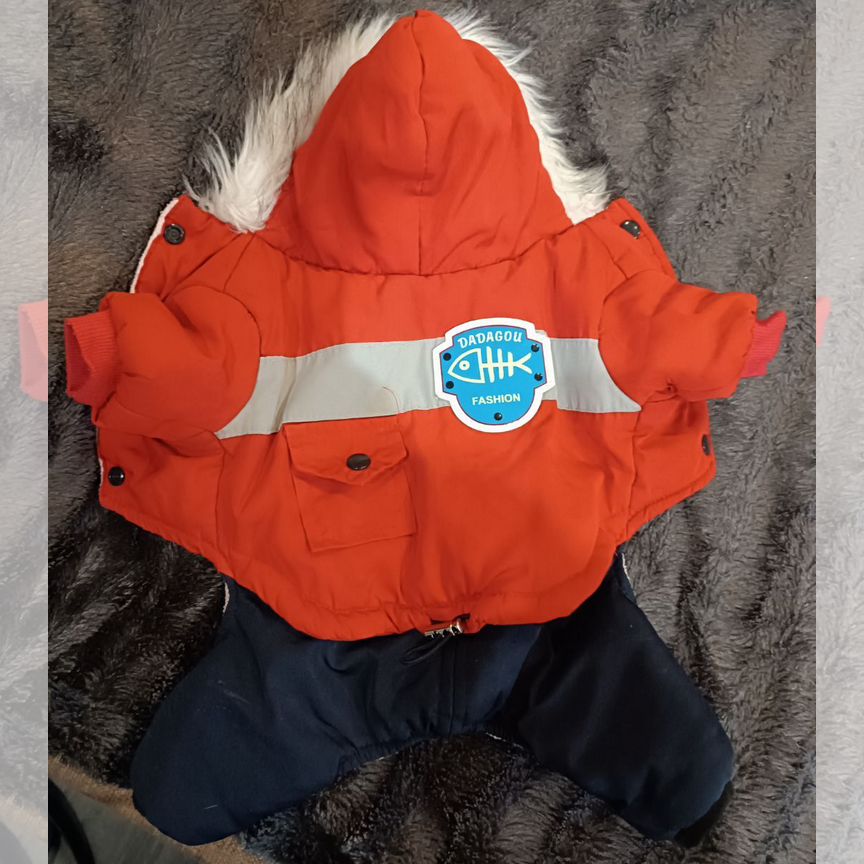 Одежда для маленьких собак