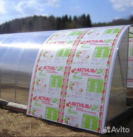 Сотовый поликарбонат для теплиц купить в Белово | Товары для дома и ...