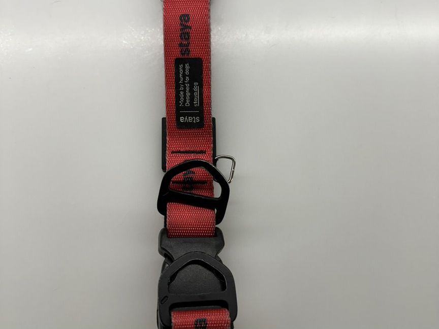 Ошейник staya