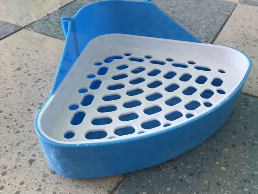 Лоток