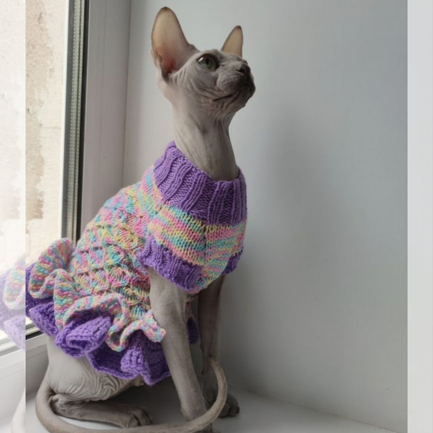 Канадский сфинкс, взрослая кошка