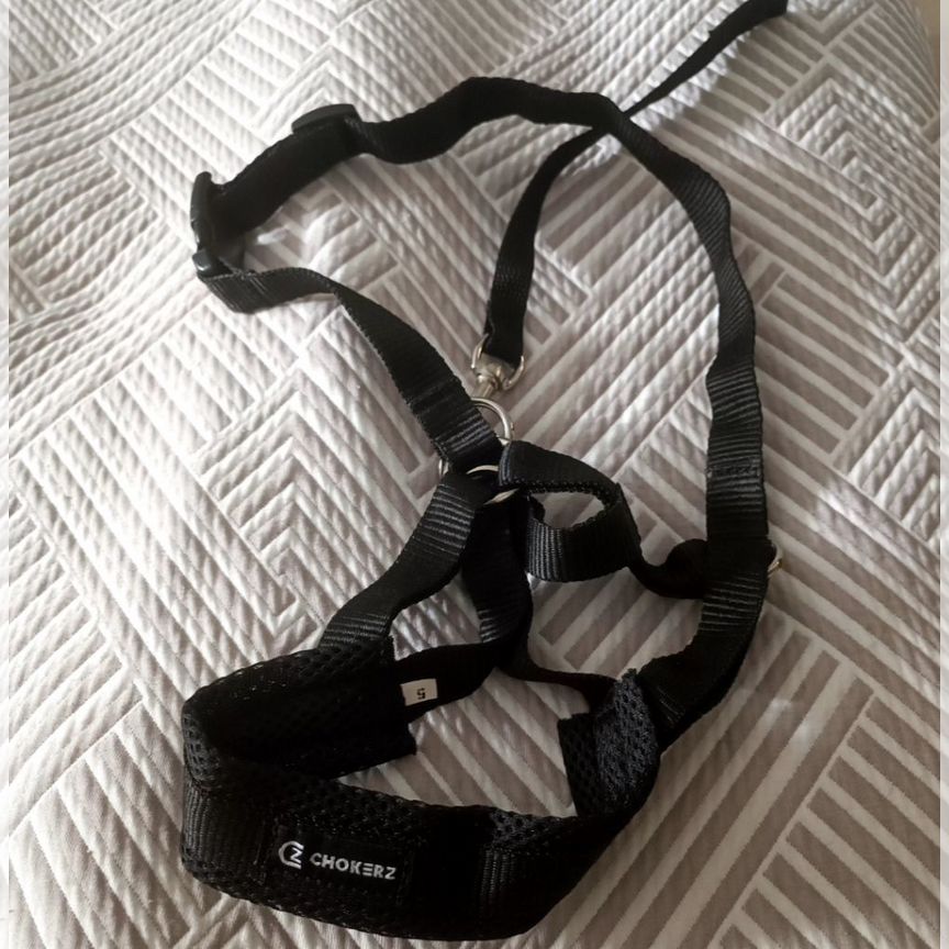 Недоуздок (халти) для собак