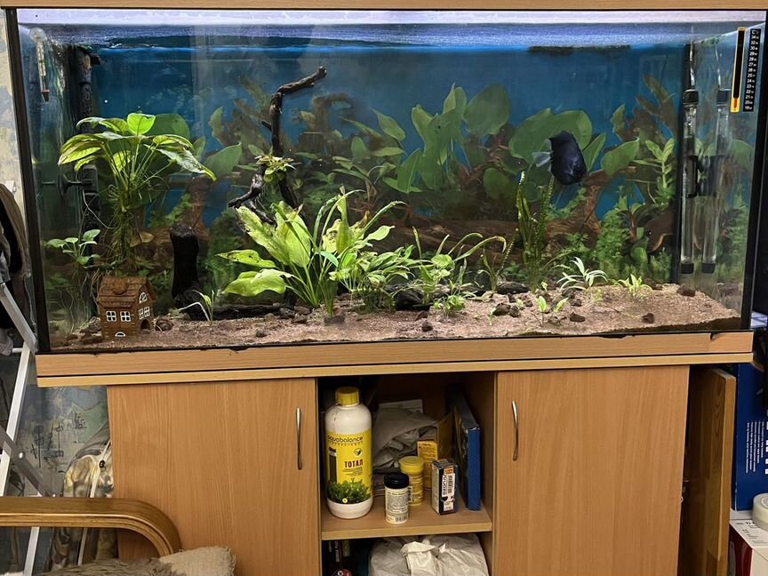 Аквариум на 300 литров