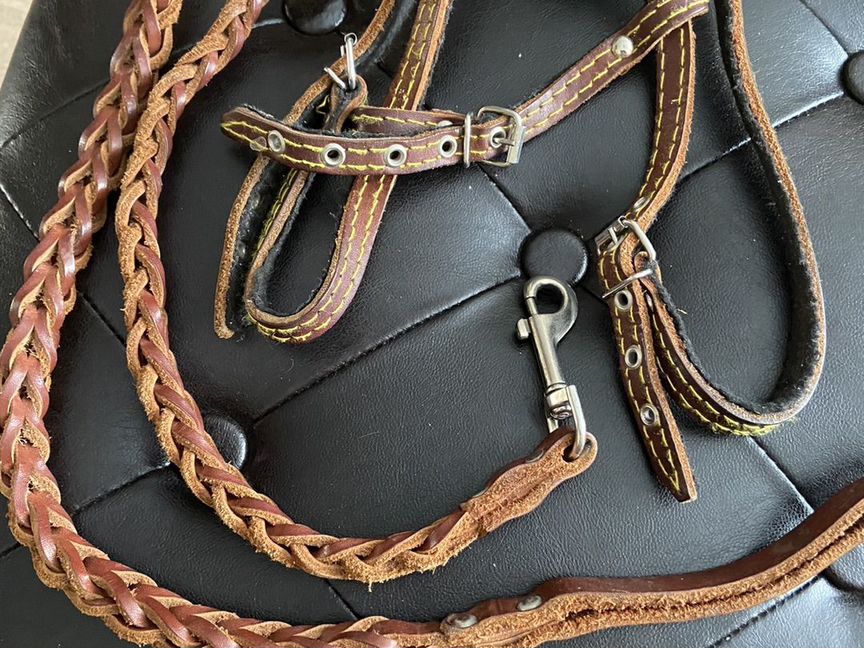 Кожаный поводок с нагрудником для собак