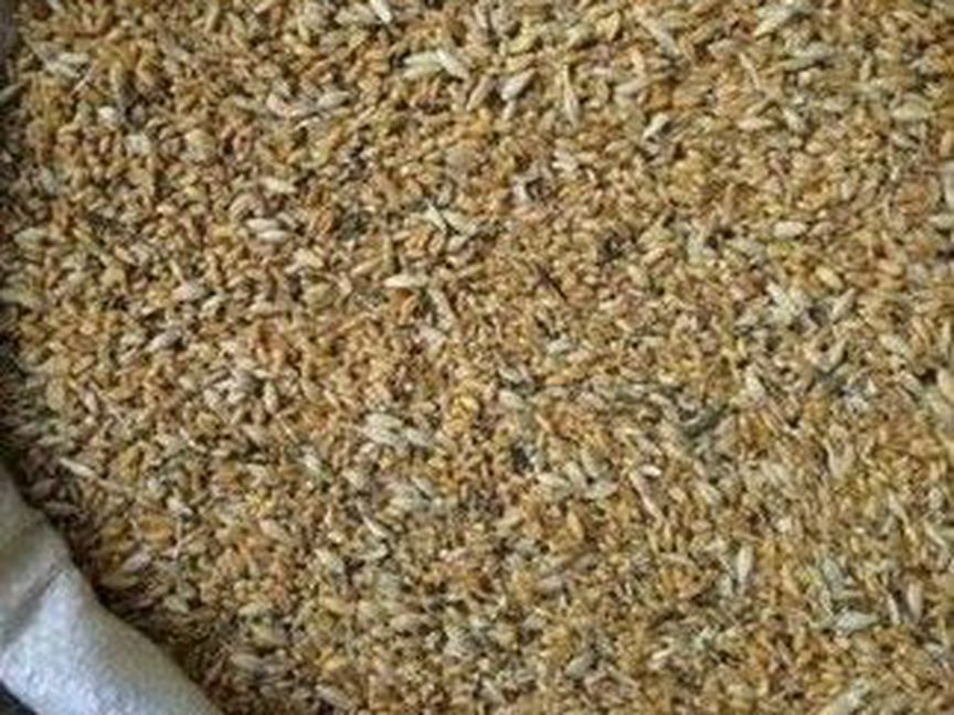 Продам отходы зерновые