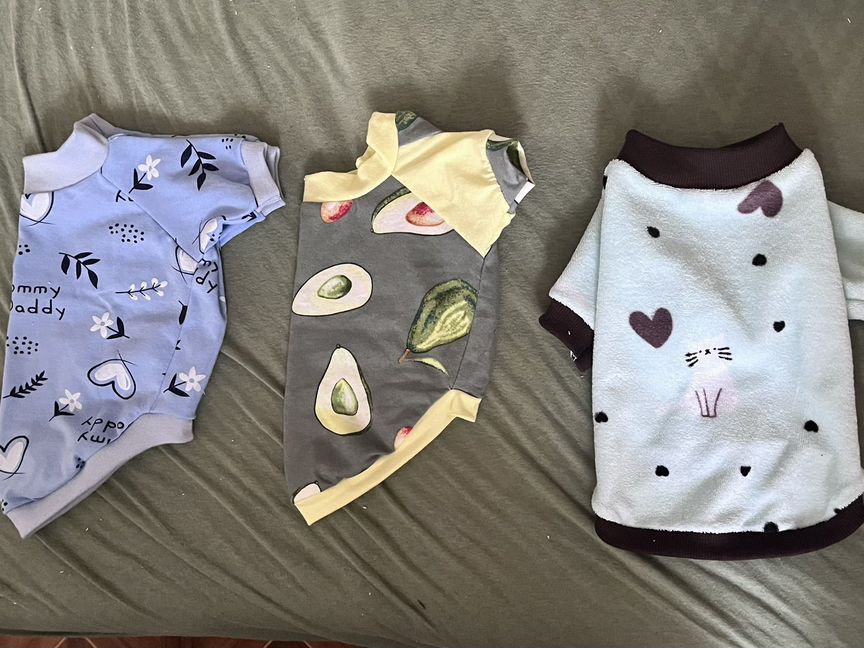 Одежда для маленьких собак h&m