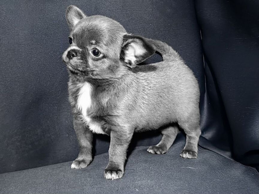 Голубой бриллиант