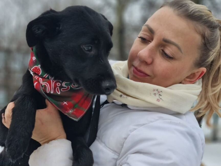 Собака ищет дом, Тимьян