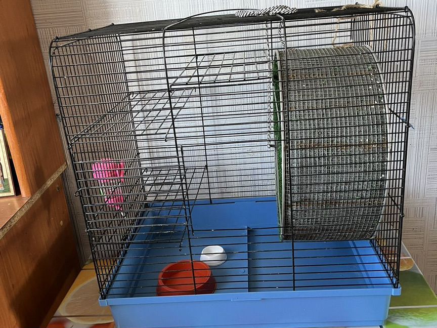 Клетка для грызунов 50*50*37 большая