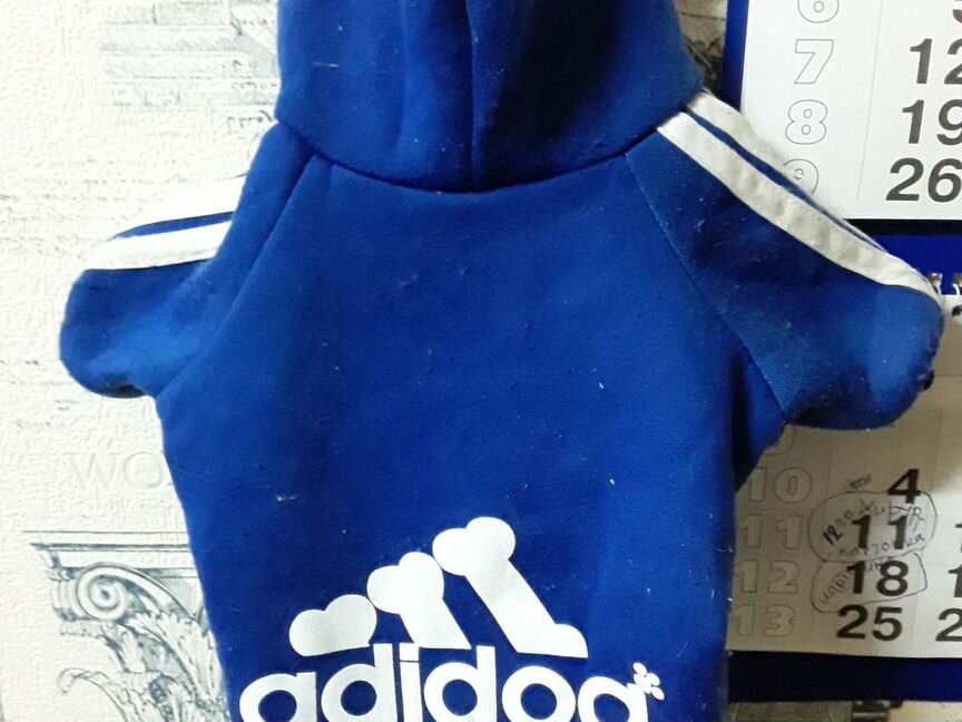 Костюмчик для маленькой собачки