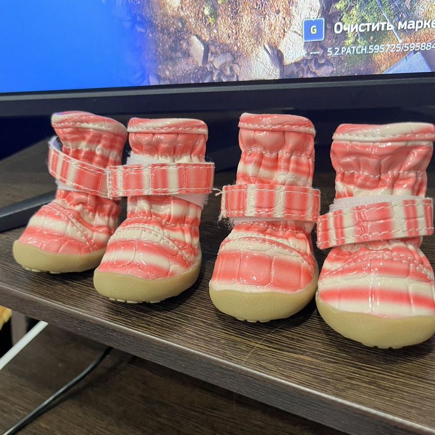 Зимняя обувь для собак