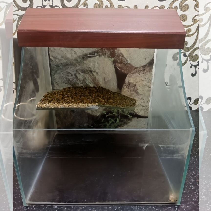 Аквариум для черепах