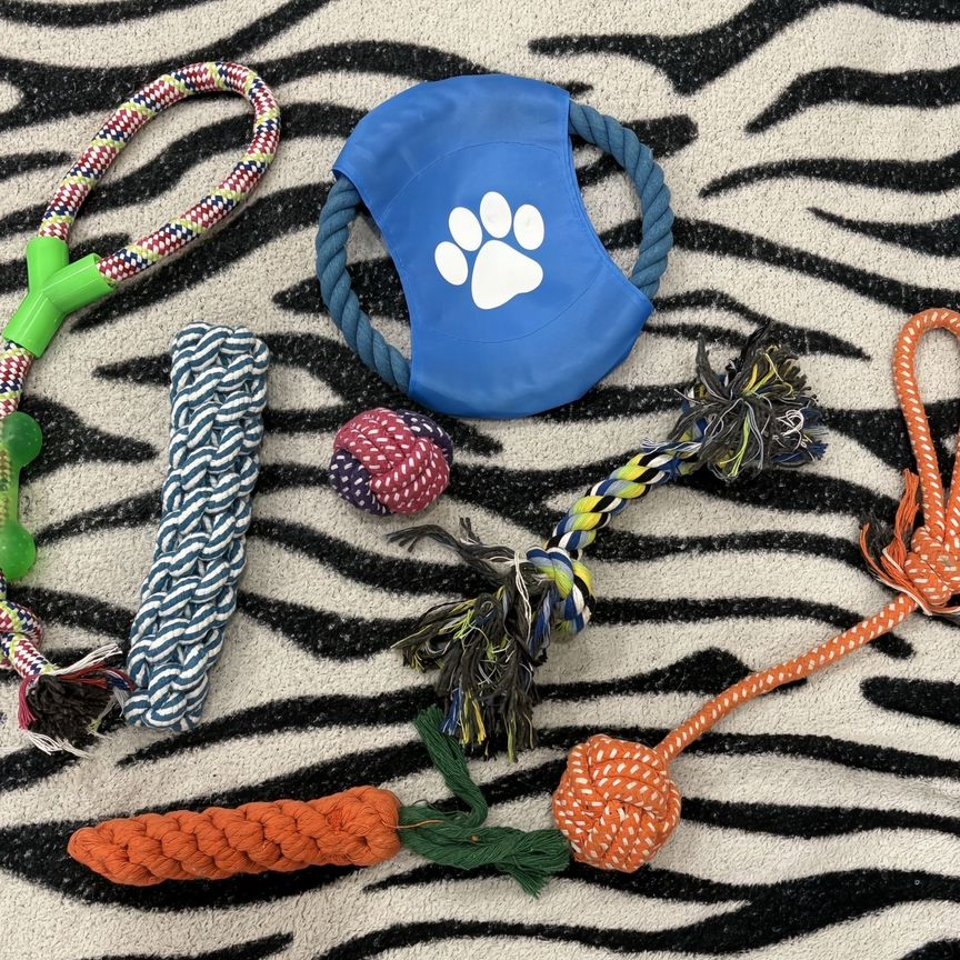 Игрушки для собак