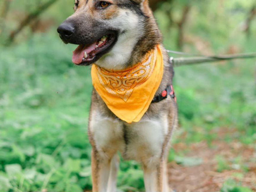 Доверчивая Умка ждёт семью