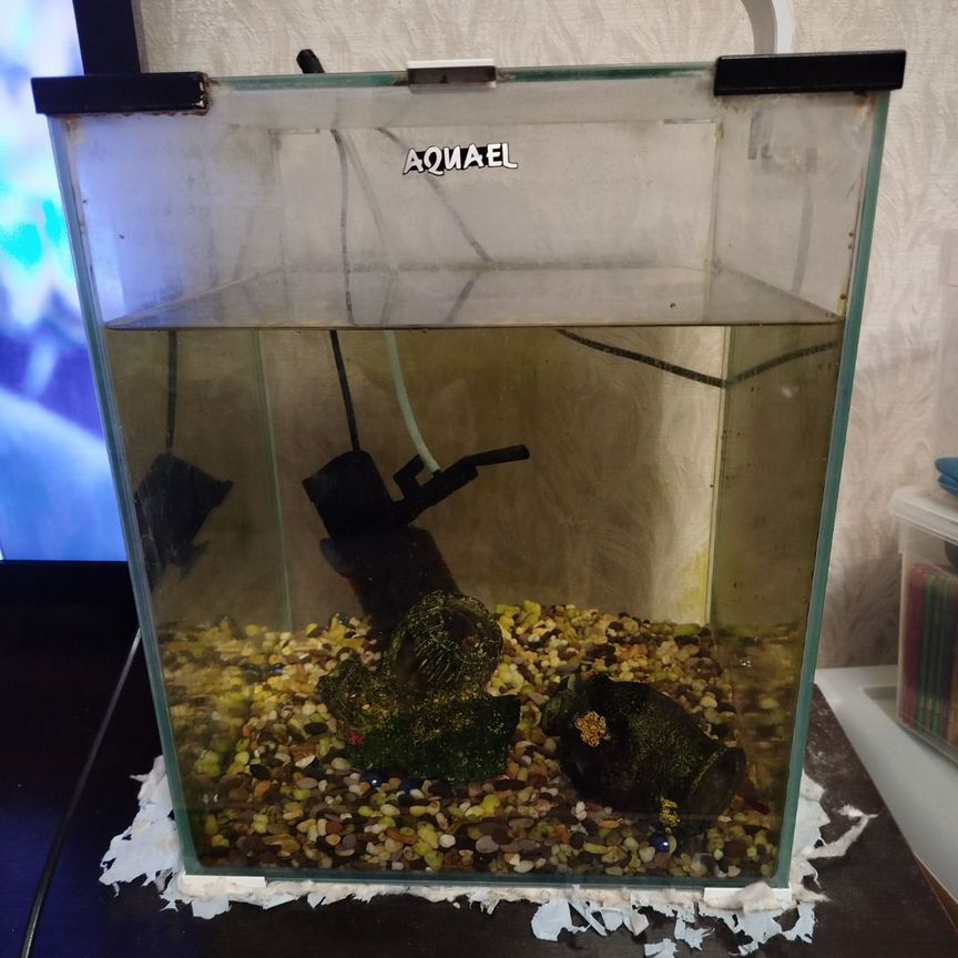 Аквариум aquael