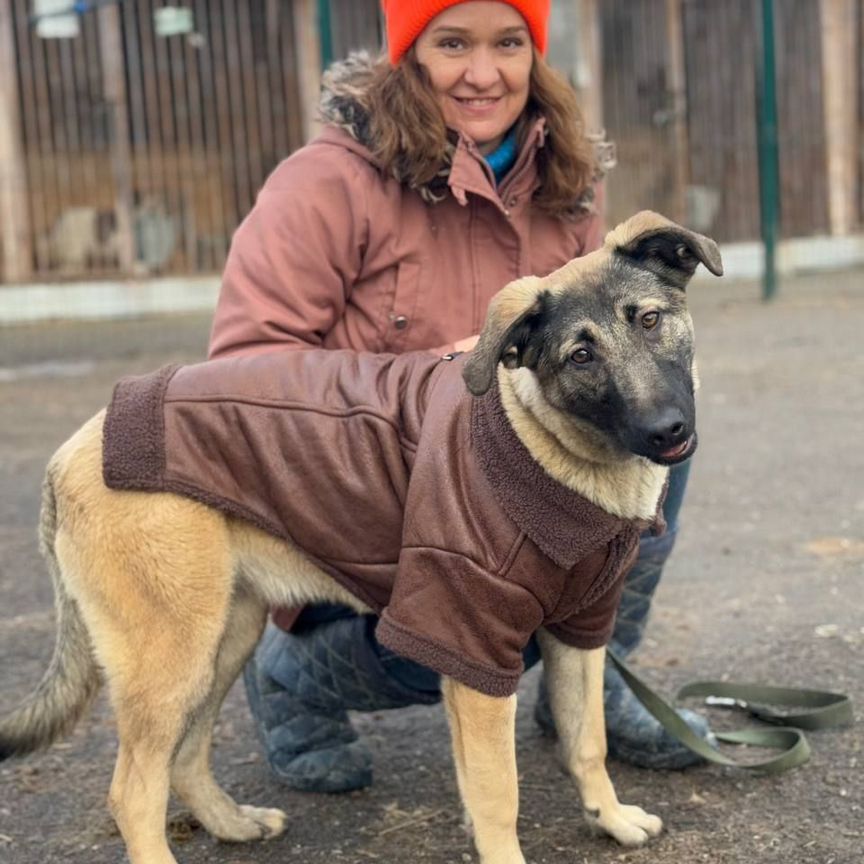 Щенок в добрые руки