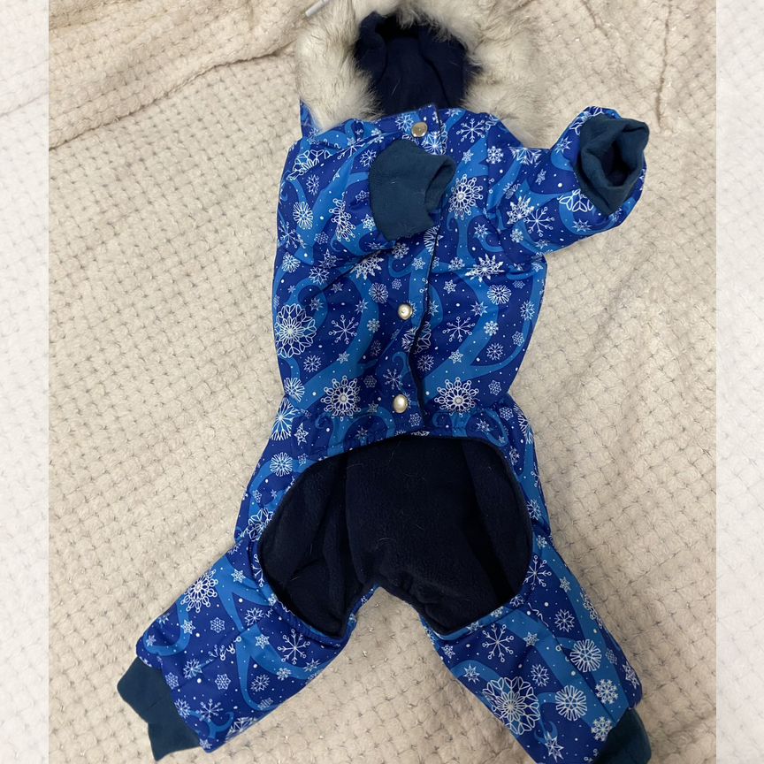 Одежда для собак