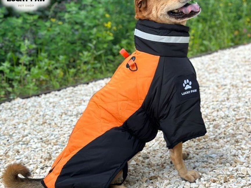 Куртка - жилет для собак