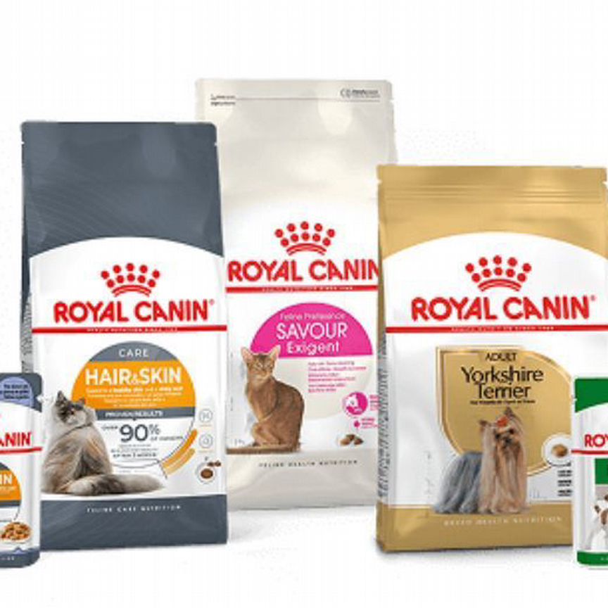 Сухой корм для собак