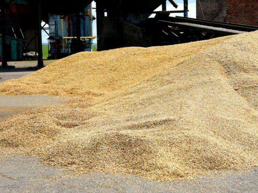 Продам зерно 3 тонны