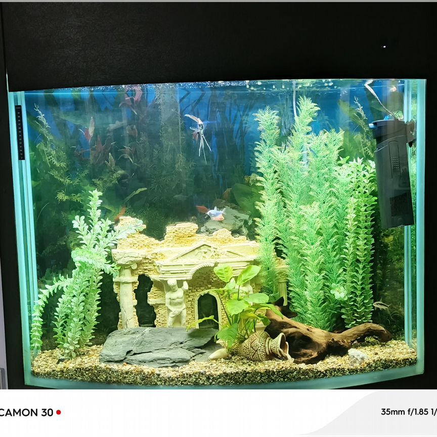 Аквариумы  экзо Рыбы   украшение для аквариума