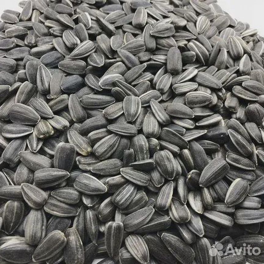 Продам семечки подсолнуха