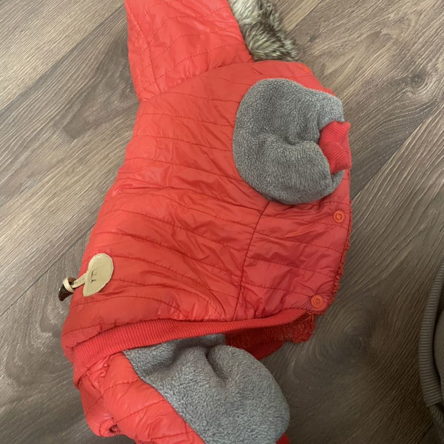 Костюм для собаки