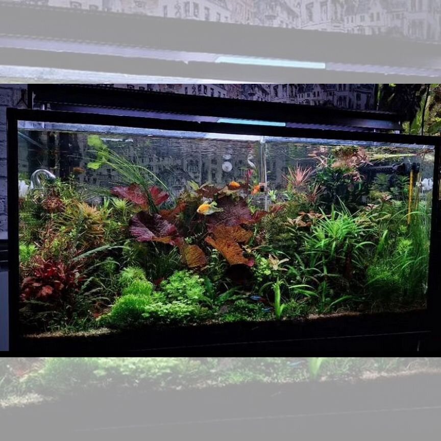 Светильник для аквариума Week Aqua M800PRO K