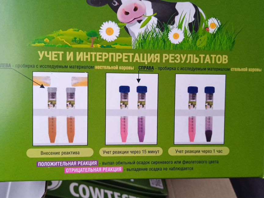 Тест на стельность
