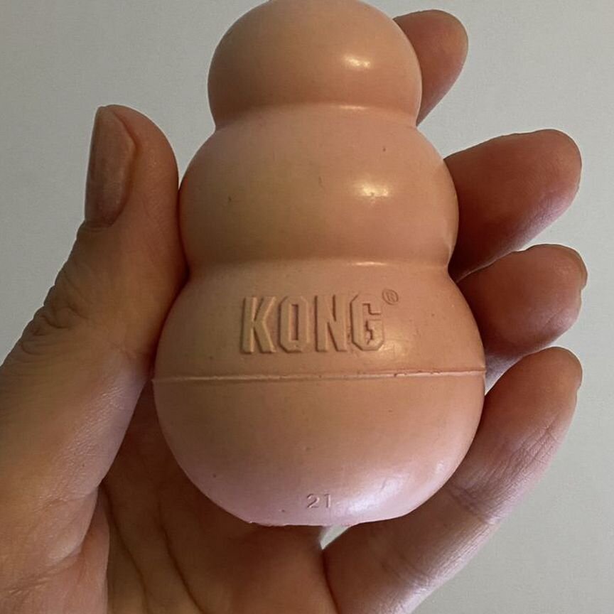 Kong s для щенков