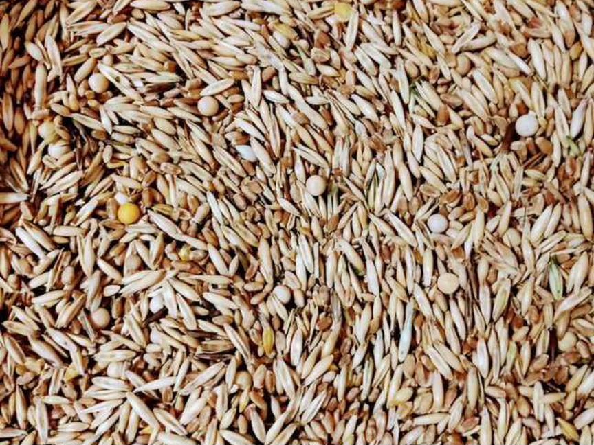 Зерновая смесь