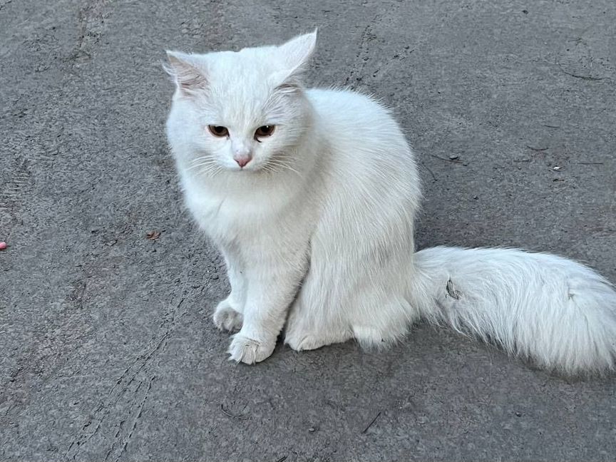 Малышка ищет семью