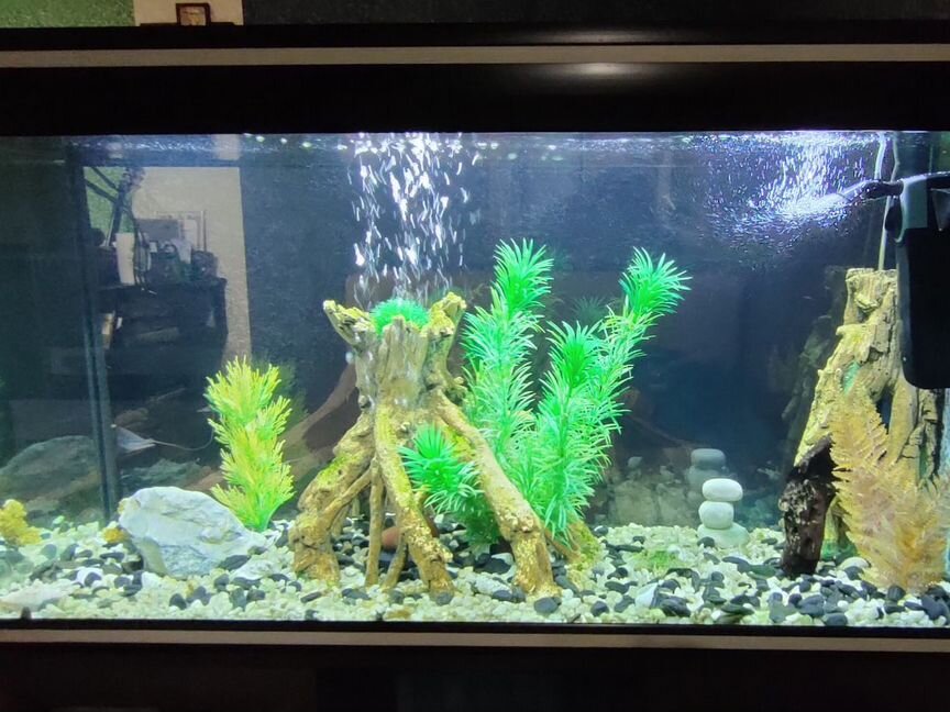 Аквариум 300 литров c тумбой и оборудованием