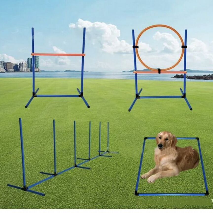 Набор для аджилити для собак