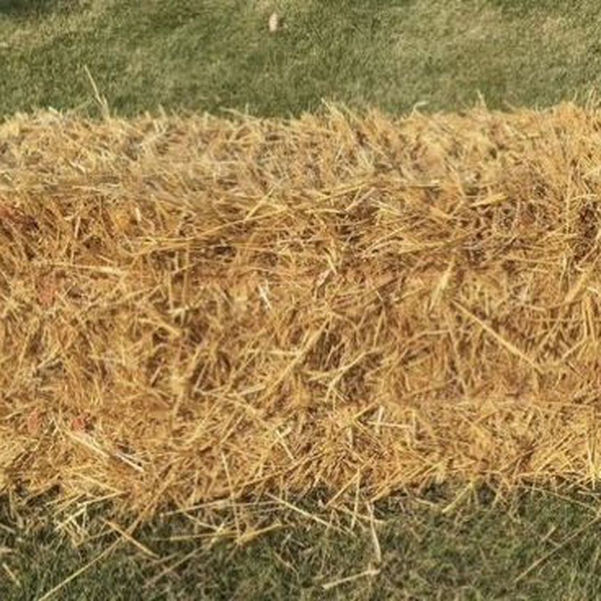 Бесплатный тюк отборной соломы с самовывозом