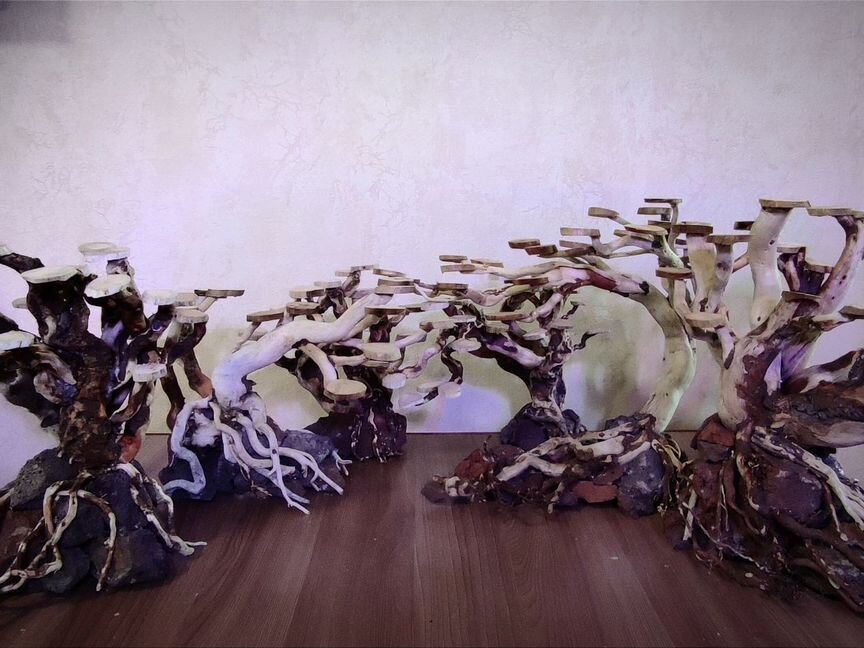 Коряга для аквариума бонсай