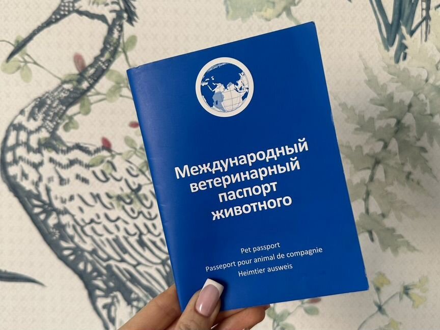 Ветеринарный паспорт на выед