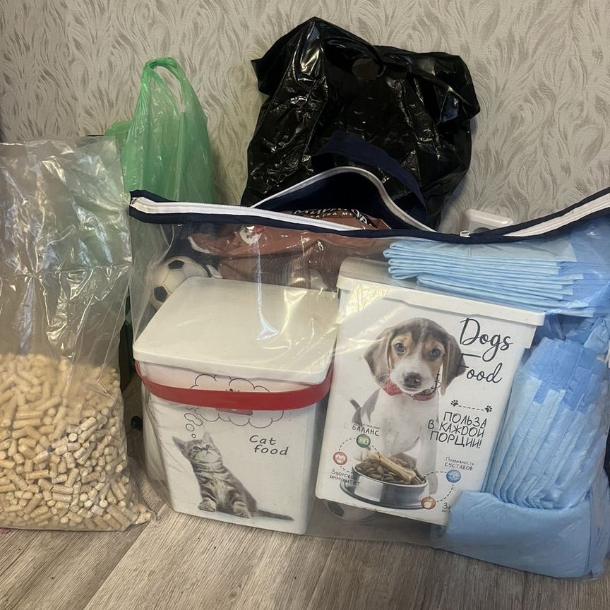 Собачьи и кошачьи принадлежности