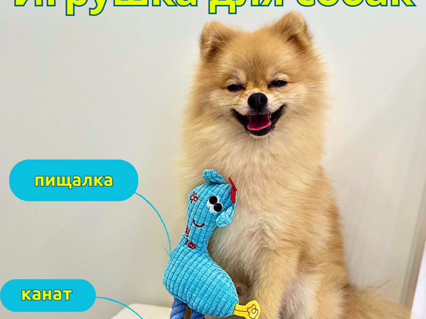Игрушки для маленьких собак