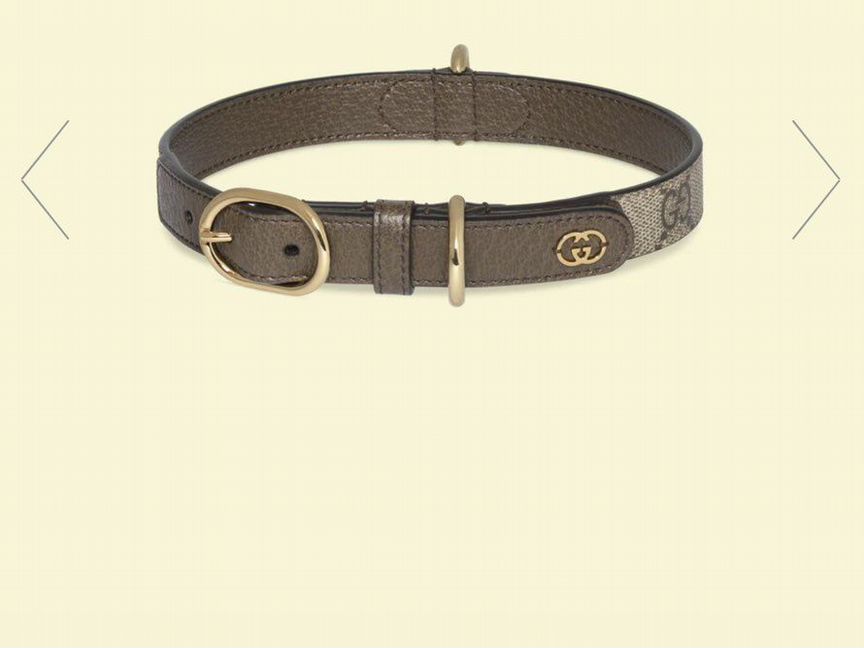 Ошейник для собак поводок gucci