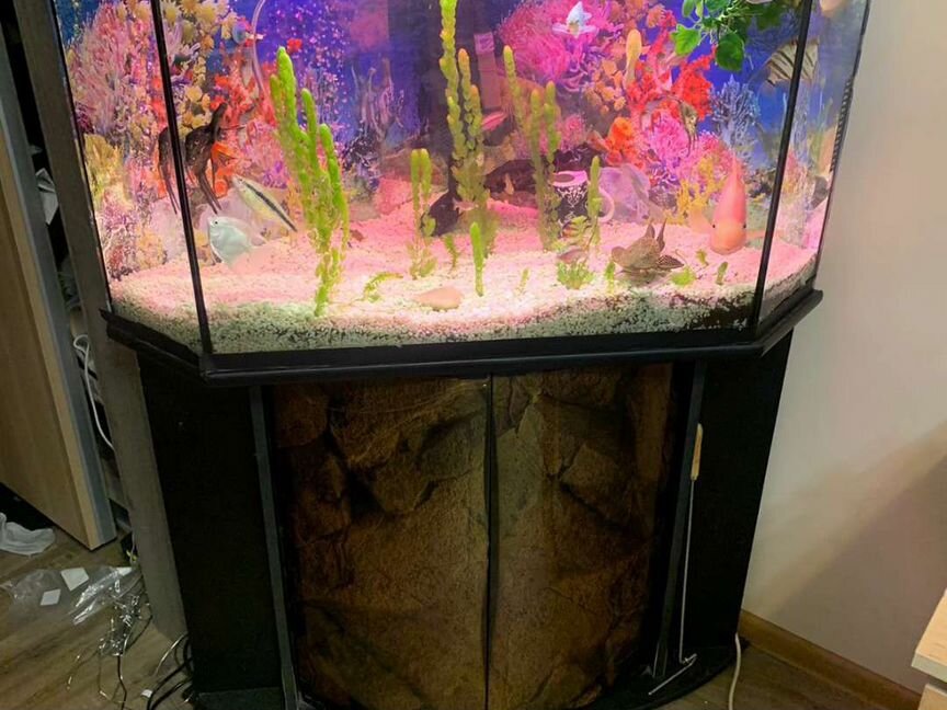 Аквариумный грунт