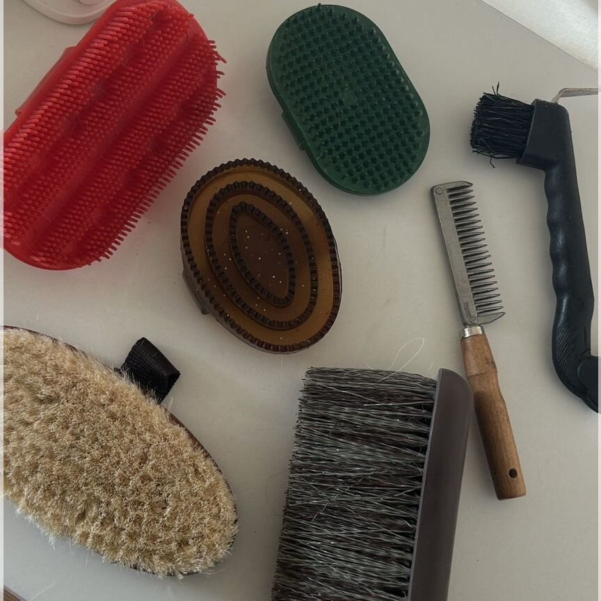 Щетки для ухода за лошадьми