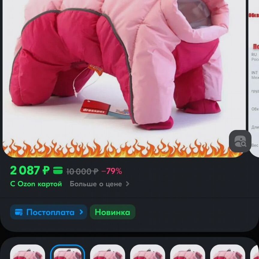 Зимний комбинезон для собаки