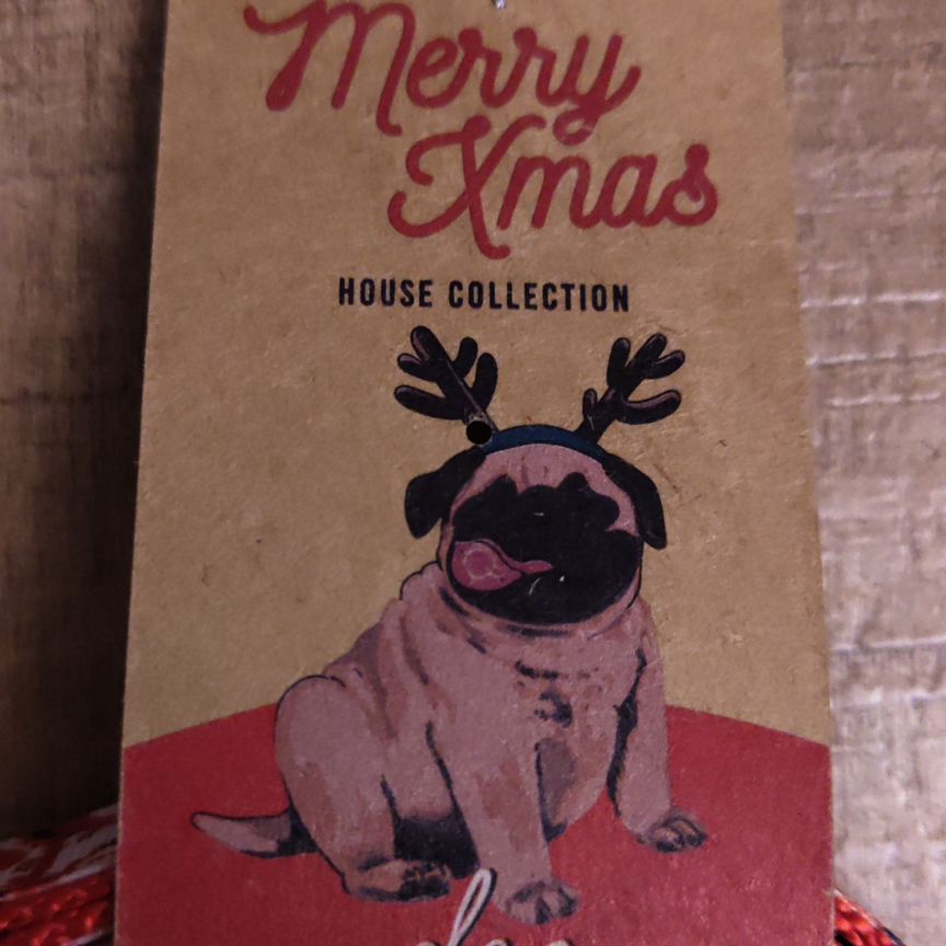 Новый, новогодний комплект Ошейник и поводок