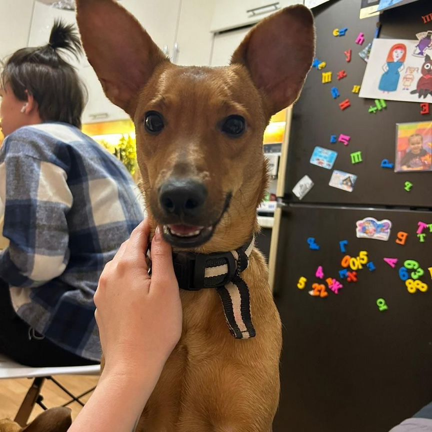 Малышку выкинуть на улицу