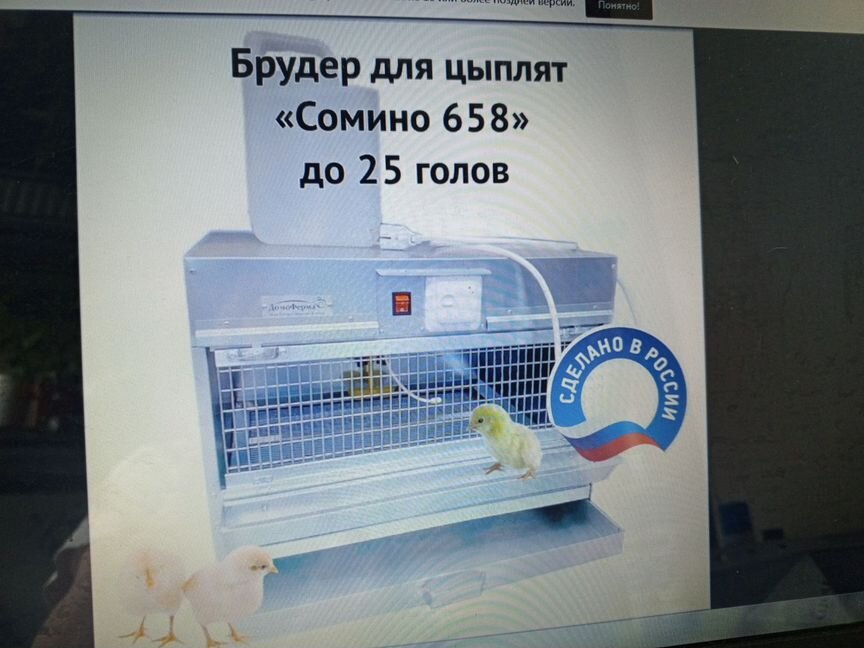 Брудер для, цыплят новый в коробке