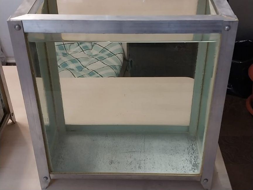 Аквариум (террариум)