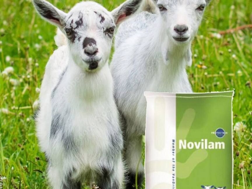 Заменитель цельного молока Новилам (Голландия)