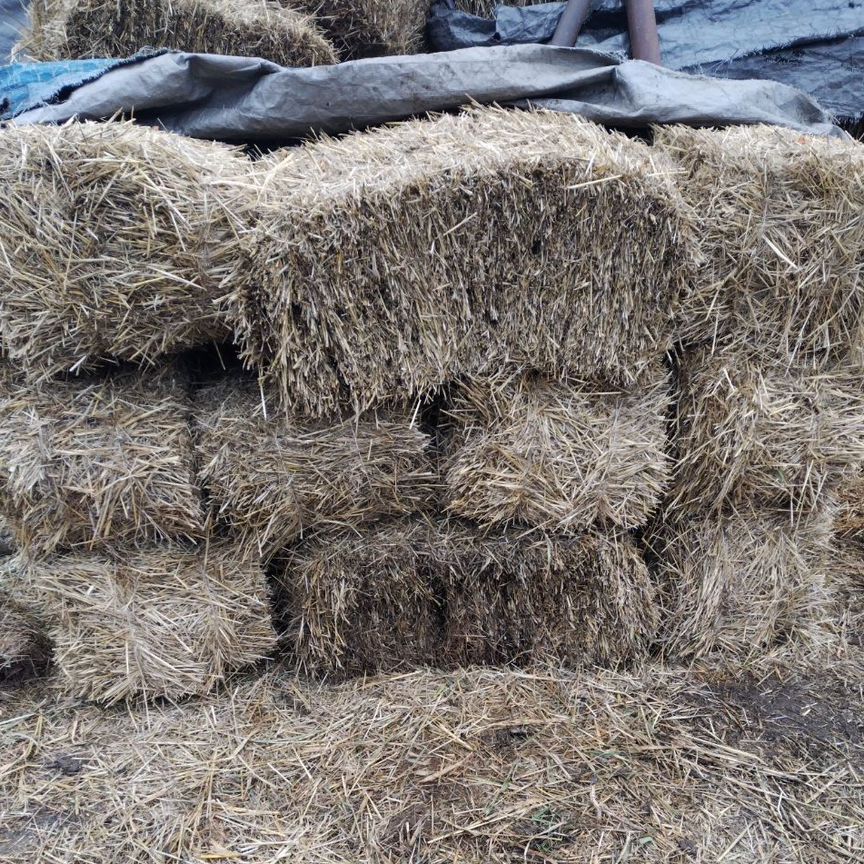 Солома в тюках