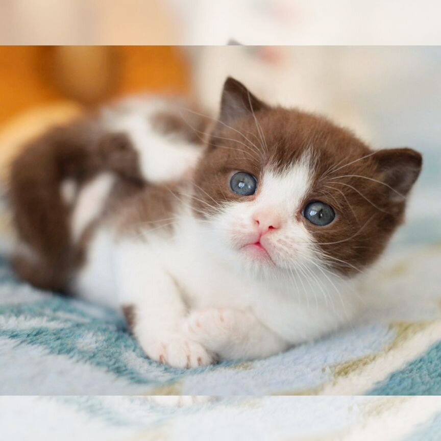 Открыт резерв